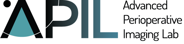 Apil Logo